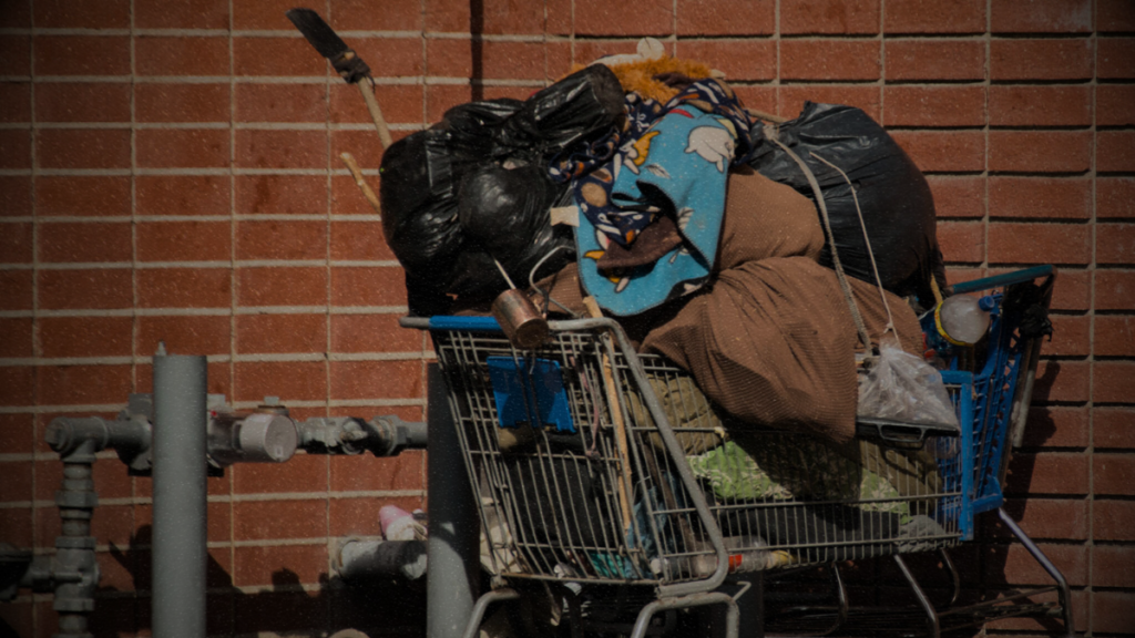 City Of Raleigh Puts $5 Million Into Addressing Homelessness - NC Voices